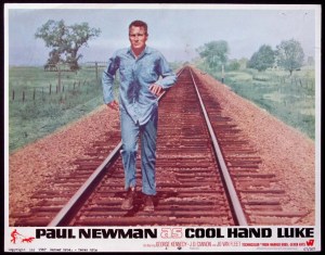 1967 Movie Review: COOL HAND LUKE, 1967 | Festival Reviews
